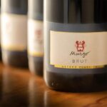 Visite & Degustazioni Etna | Cantine Murgo 1860