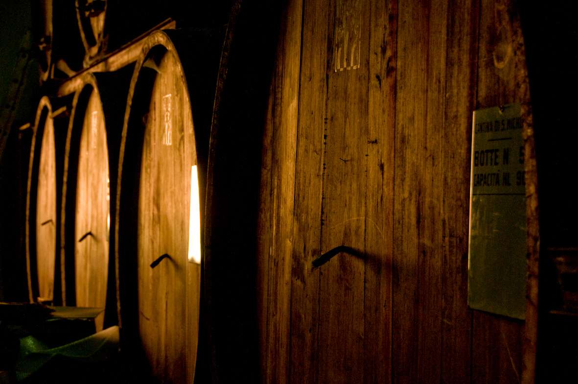 Produciamo Pregiati Vini Etna Doc e IGT | Cantine Murgo 1860