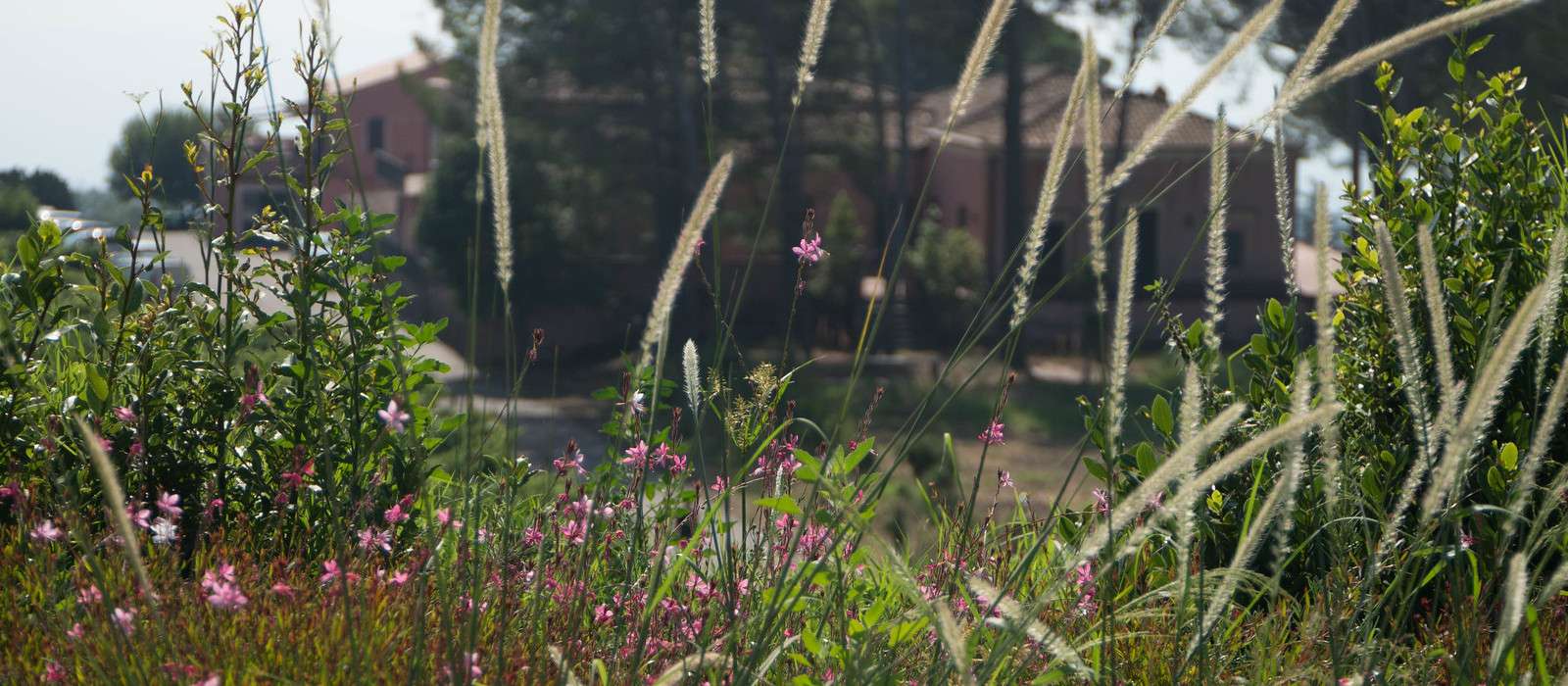 We produce fine Etna Doc Wines and IGT Wines | Murgo Winery 1860