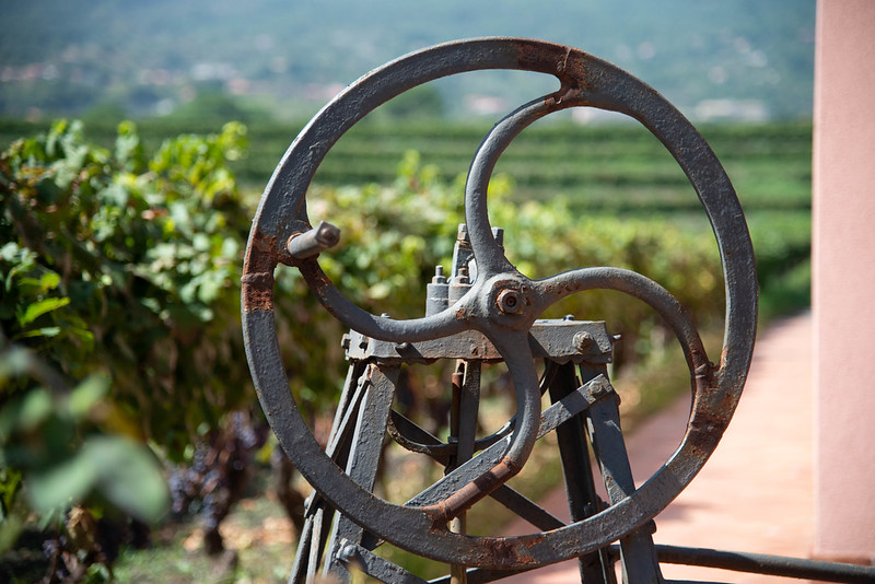 Tenuta San Michele Vineyards for Etna Doc Wines | Murgo Winery 1860