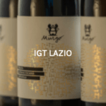 Produciamo ricercati Vini Etna Doc e Vini IGT | Cantine Murgo 1860