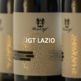 Produciamo ricercati Vini Etna Doc e Vini IGT | Cantine Murgo 1860