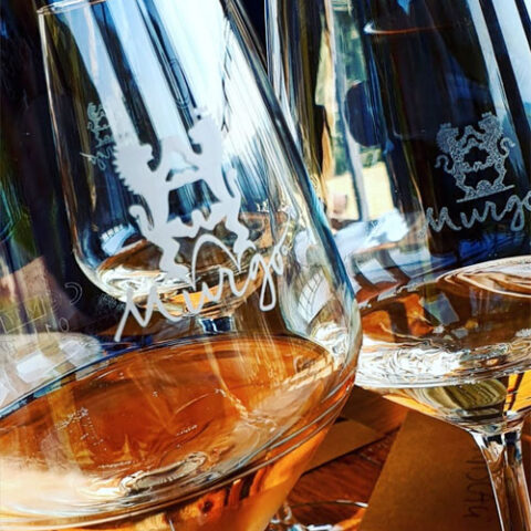 We produce fine Etna Doc Wines and IGT Wines | Murgo Winery 1860